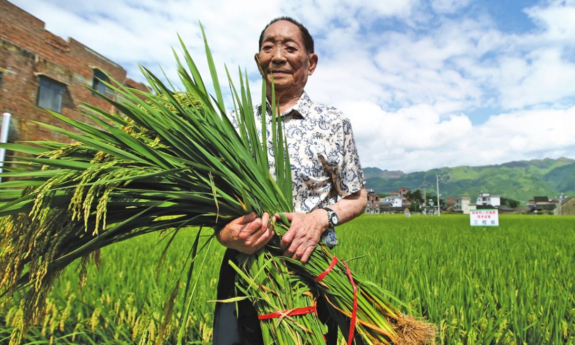 Yuan Longping, Father of Hybrid Rice, Dies; Mourners Throng to Pay ...